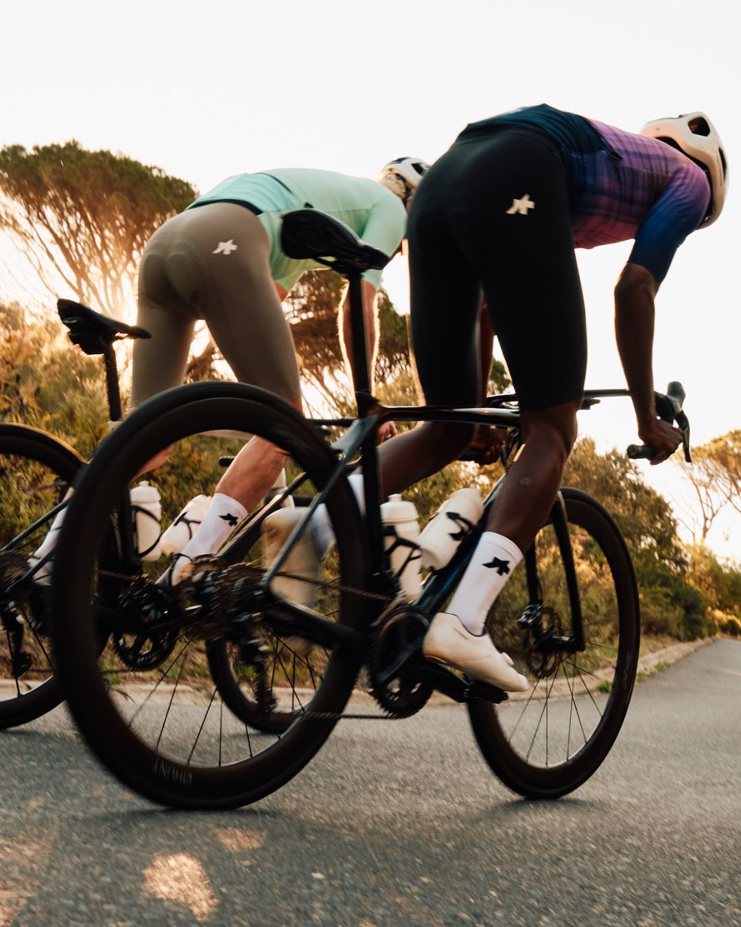 Assos: Switzerland | Abbigliamento ciclismo - Catalogo in Root Catalog ...